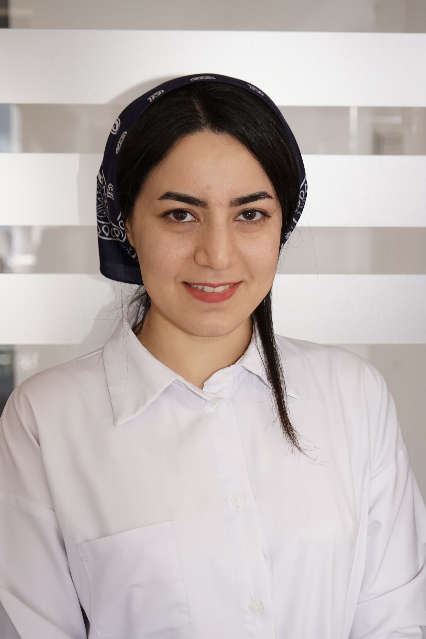 Farnaz Rahimi | MaD Lab